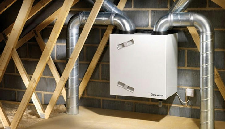 Hidden Tips for Pest and Mold Prevention in Your Log Cabin