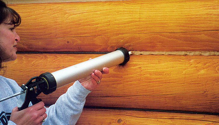 Hidden Tips for Pest and Mold Prevention in Your Log Cabin