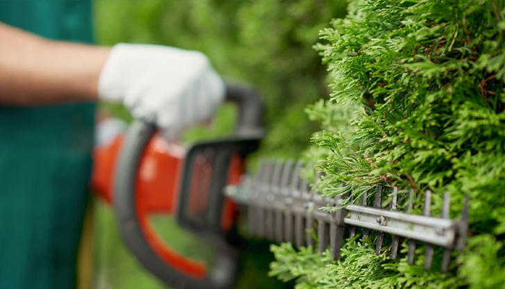 Hedge Trimmer Horror Stories: 5 Models That'll Butcher Your Plants and ...