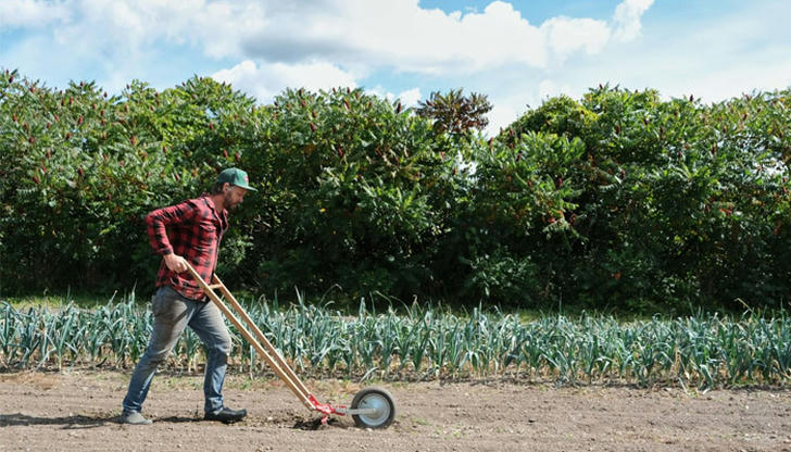 Essential Farm Tools & Safety: Can You Pass This Quick Quiz?